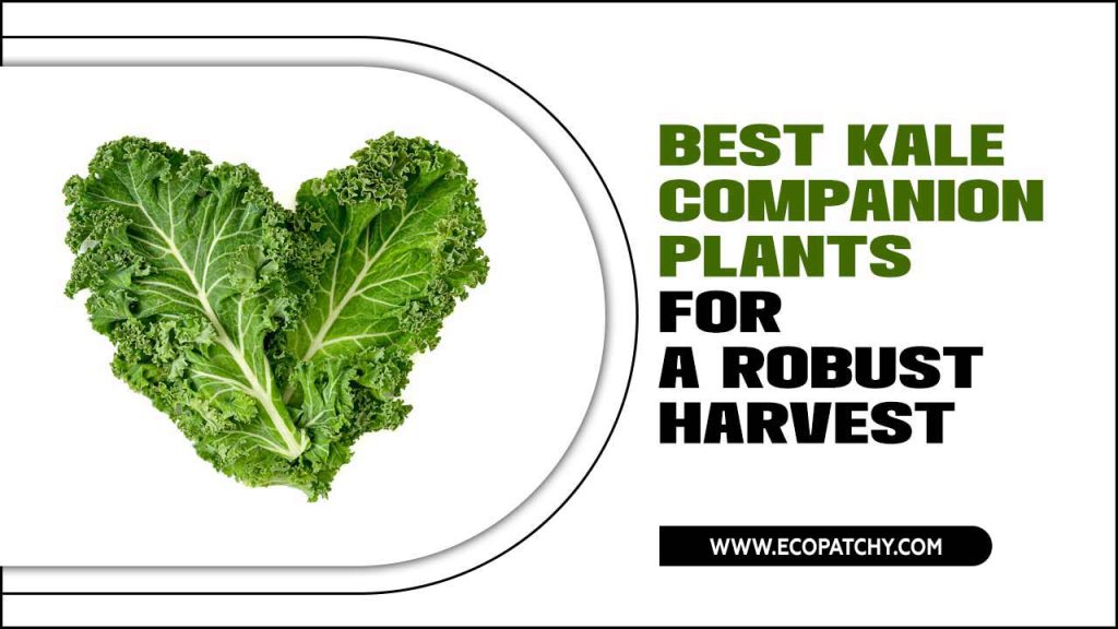 Best Kale Companion Plants For A Robust Harvest: Explained