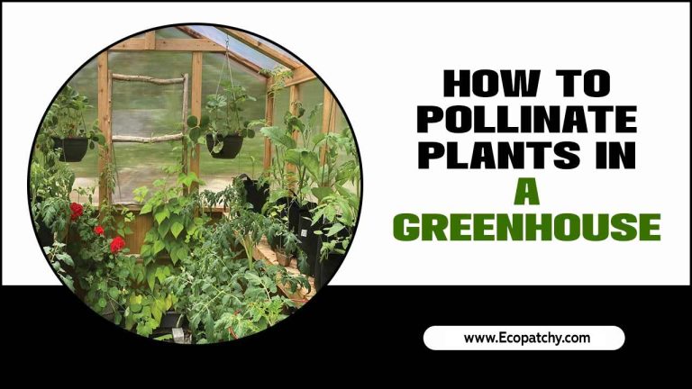 How To Pollinate Plants In A Greenhouse - Greenhouse Mastery