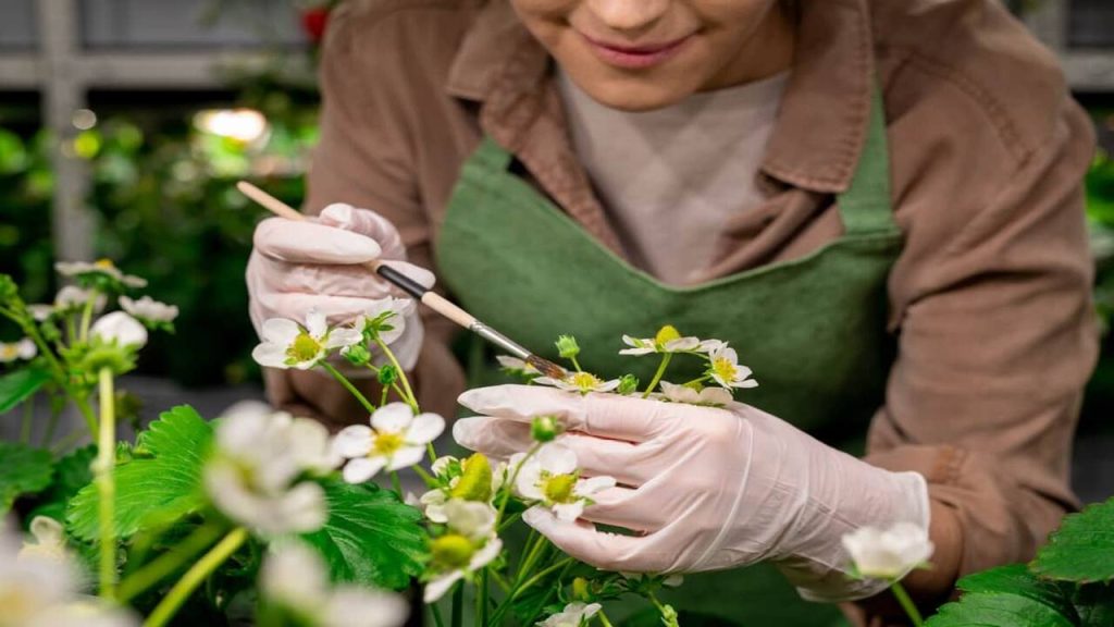How To Pollinate Plants In A Greenhouse - Greenhouse Mastery